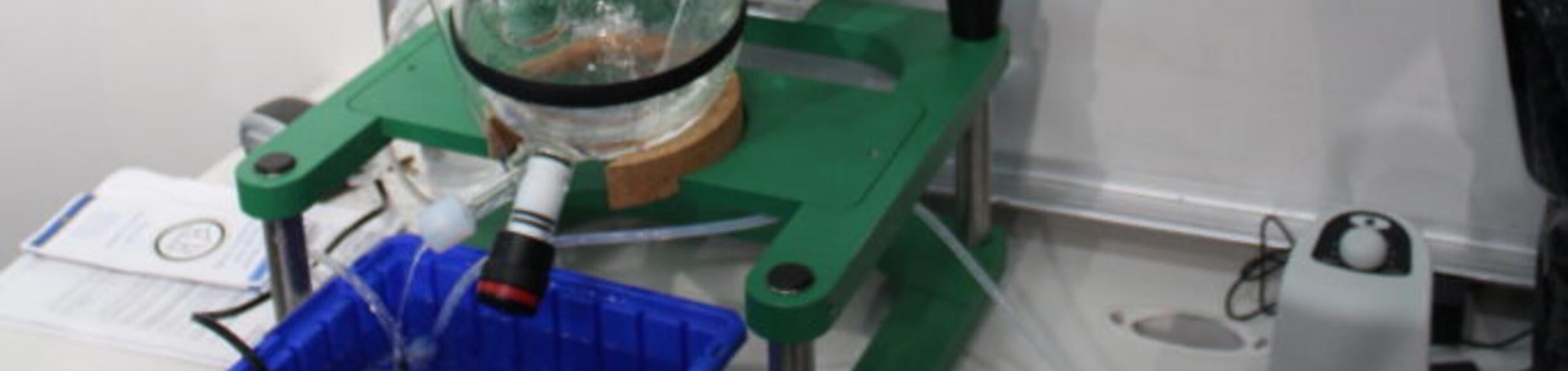 Research | RUPIPER LAB